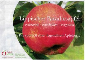 Der Lippische Paradiesapfel - Die Geschichte!